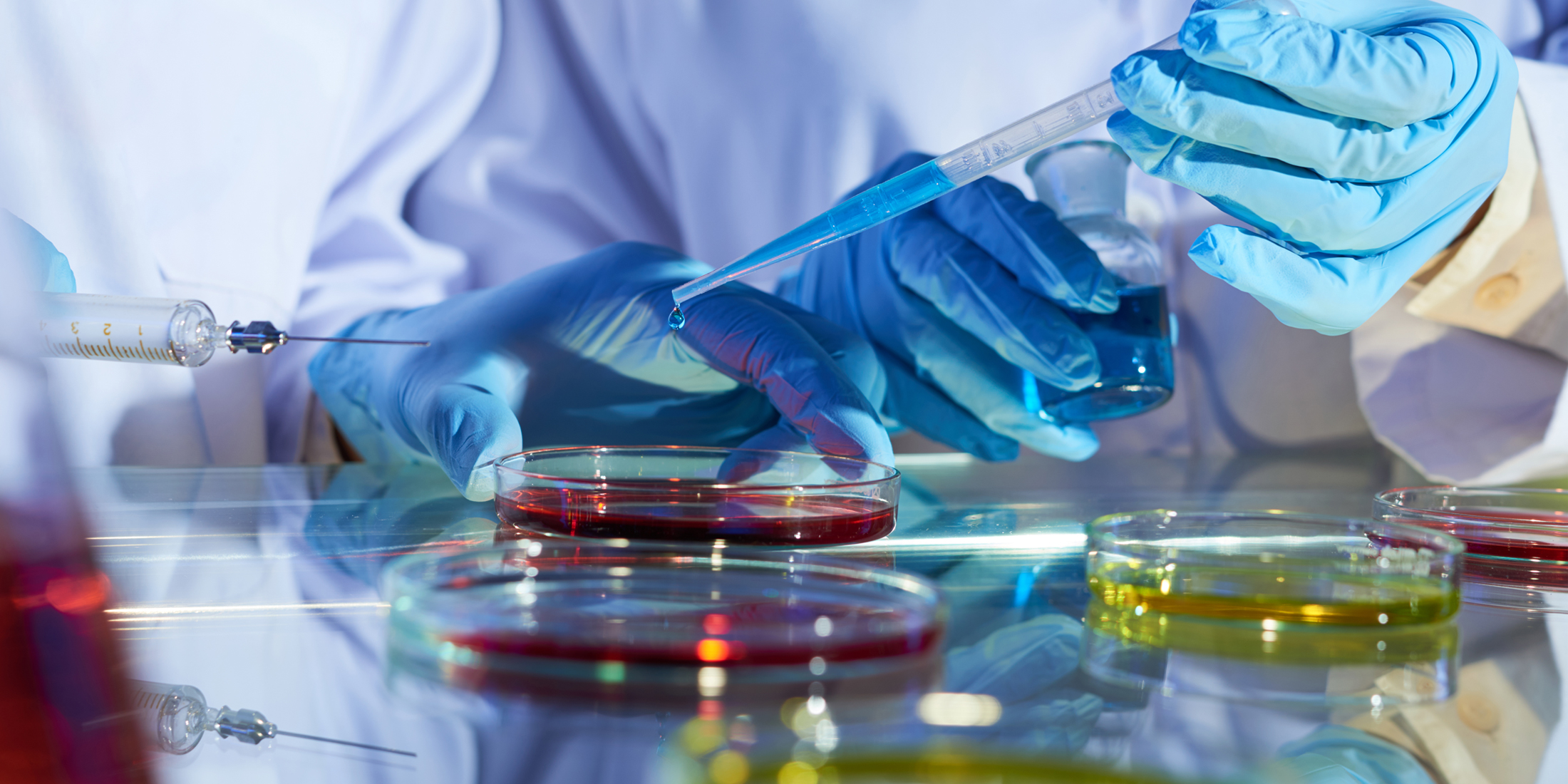 À PROPOS DE NOUS – Genelab